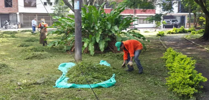 Dagma poda esta semana 85 sitios en 18 comunas