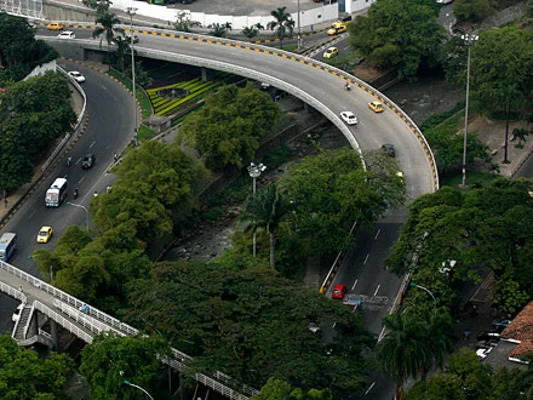 Dagma trabaja en el Estatuto Arbóreo de Cali