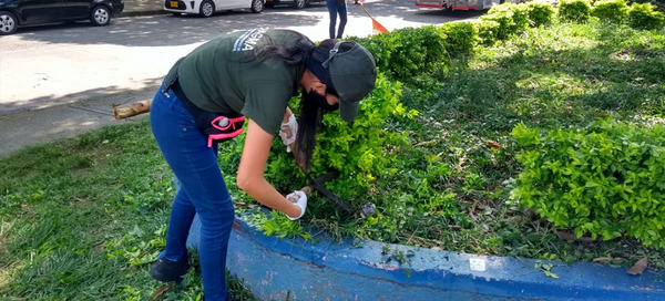 DAGMA interviene parque El Triángulo en la comuna 19